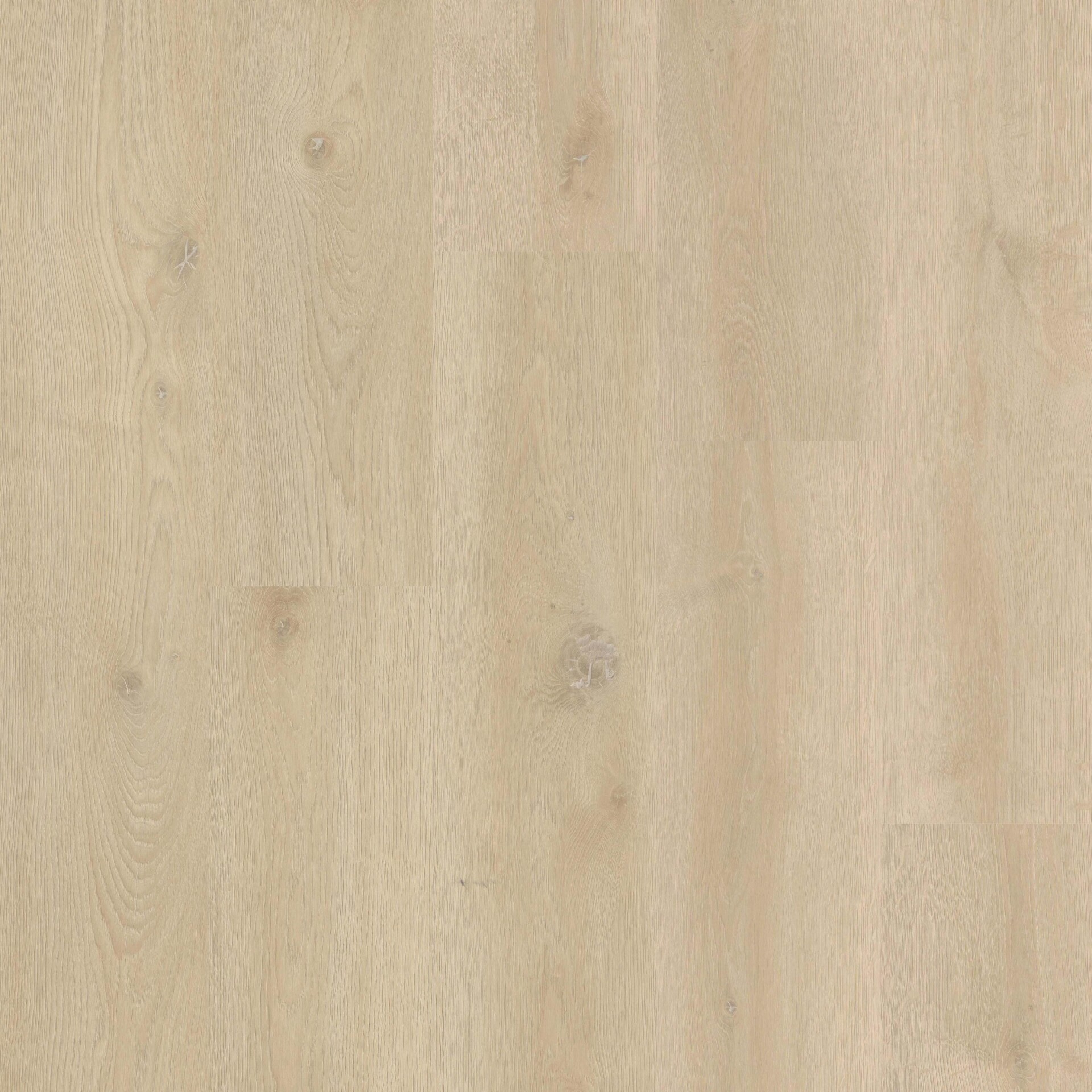 18080 | Therdex LVT Floors